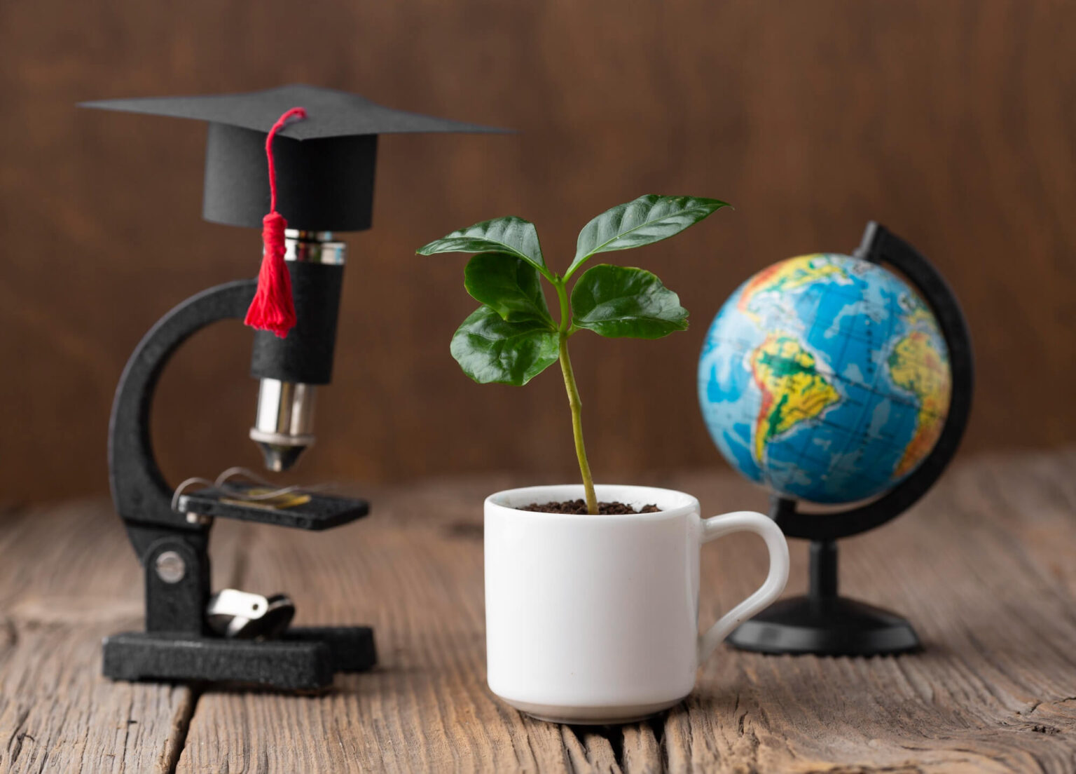 Faculty – Holy Home School